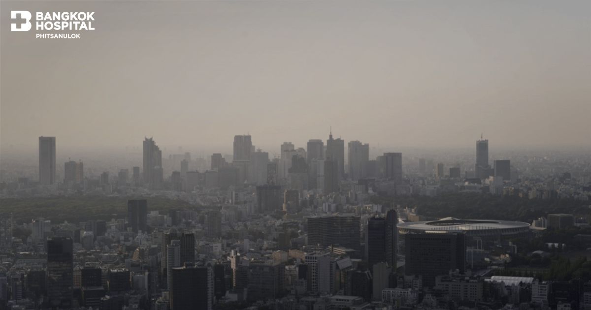 มลพิษทางอากาศ (PM2.5) | โรงพยาบาลกรุงเทพ พิษณุโลก